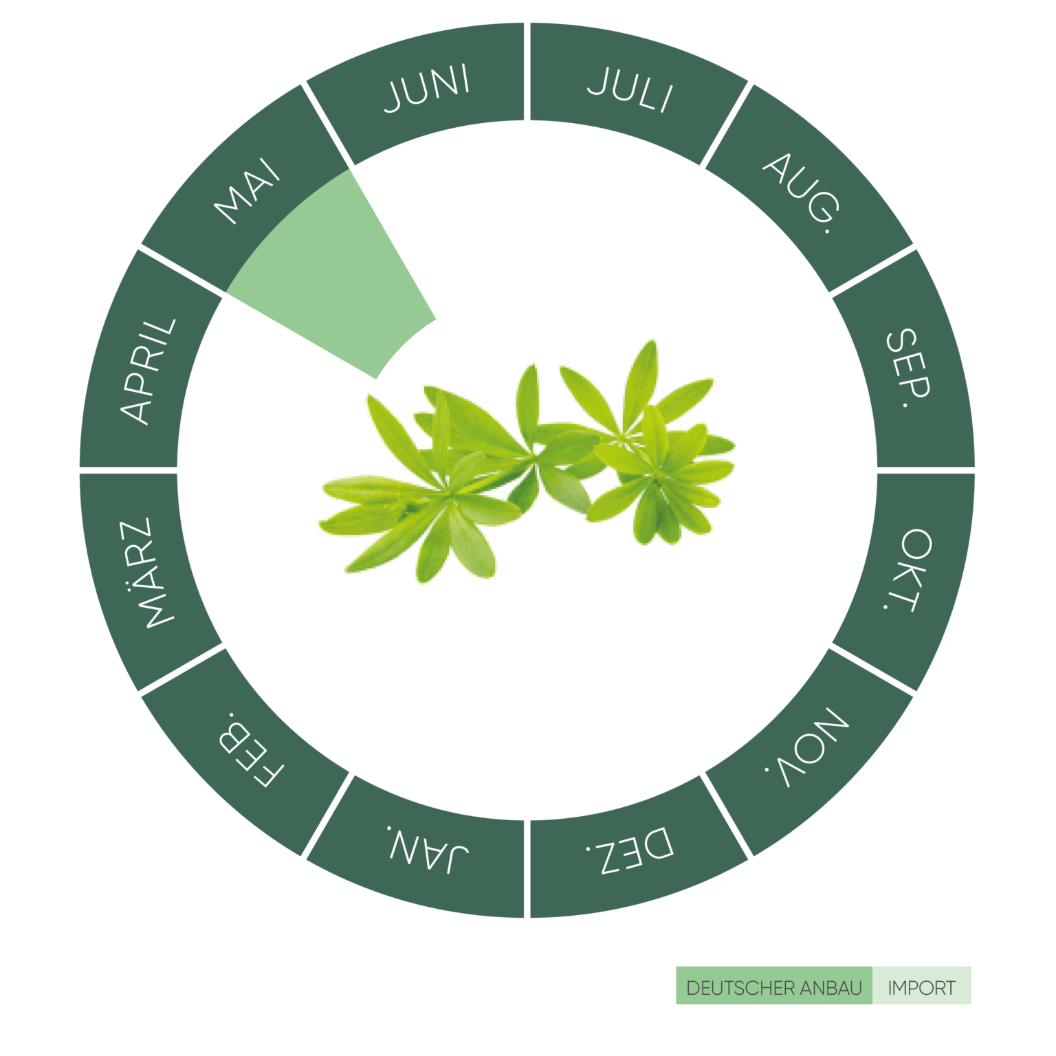 Woodruff – Herrmann Kräuter